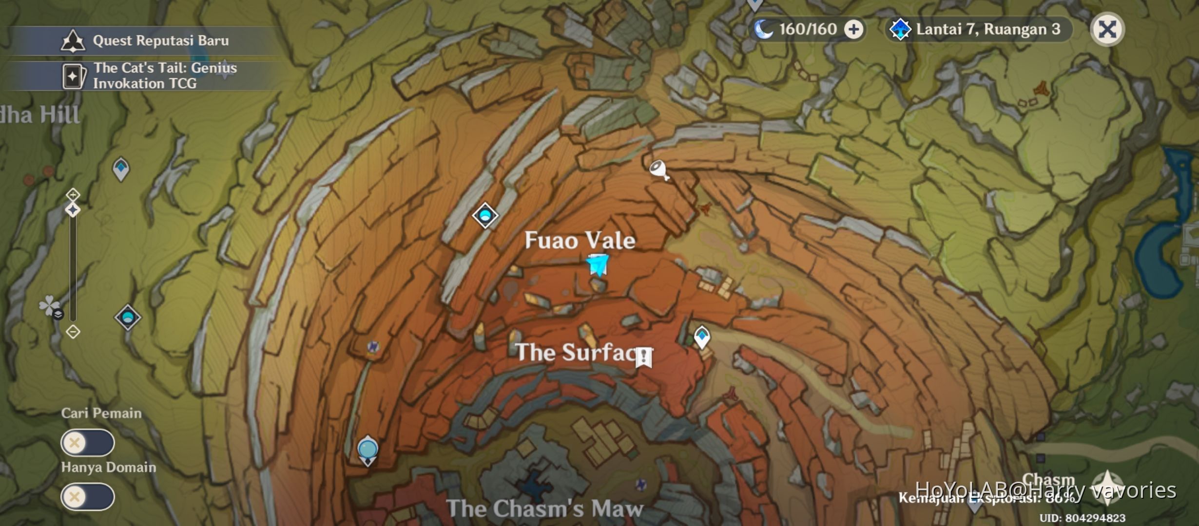 Hidden precious chest di chams Genshin Impact | HoYoLAB