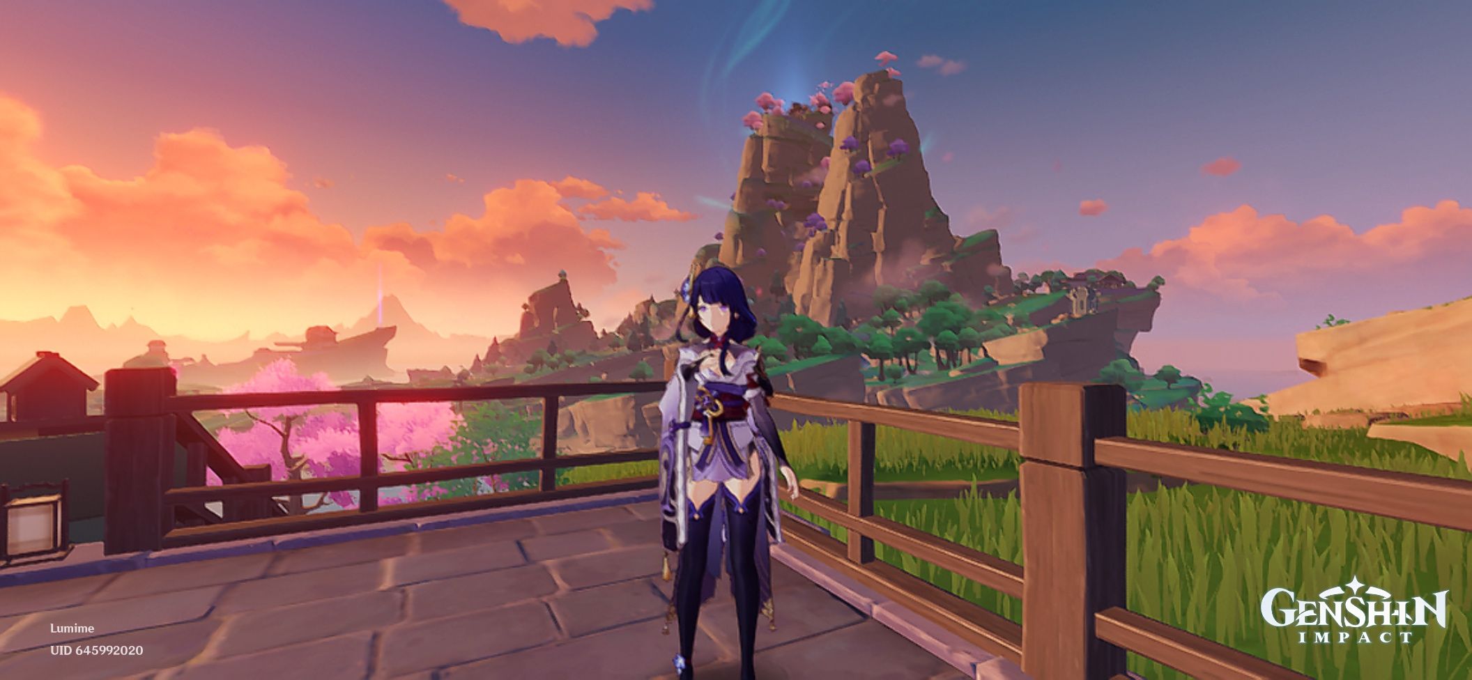 Helping Ei see the new Inazuma ( Raiden Shogun story quest) Genshin ...