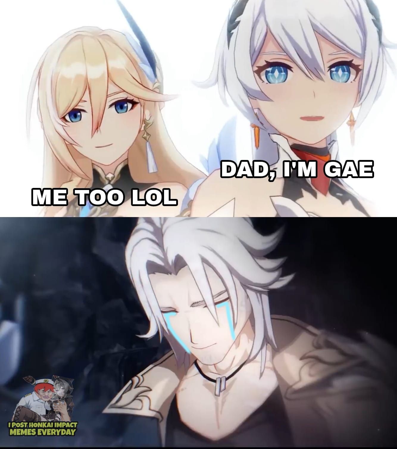 Un par de MOMOS Honkai Impact 3rd | HoYoLAB
