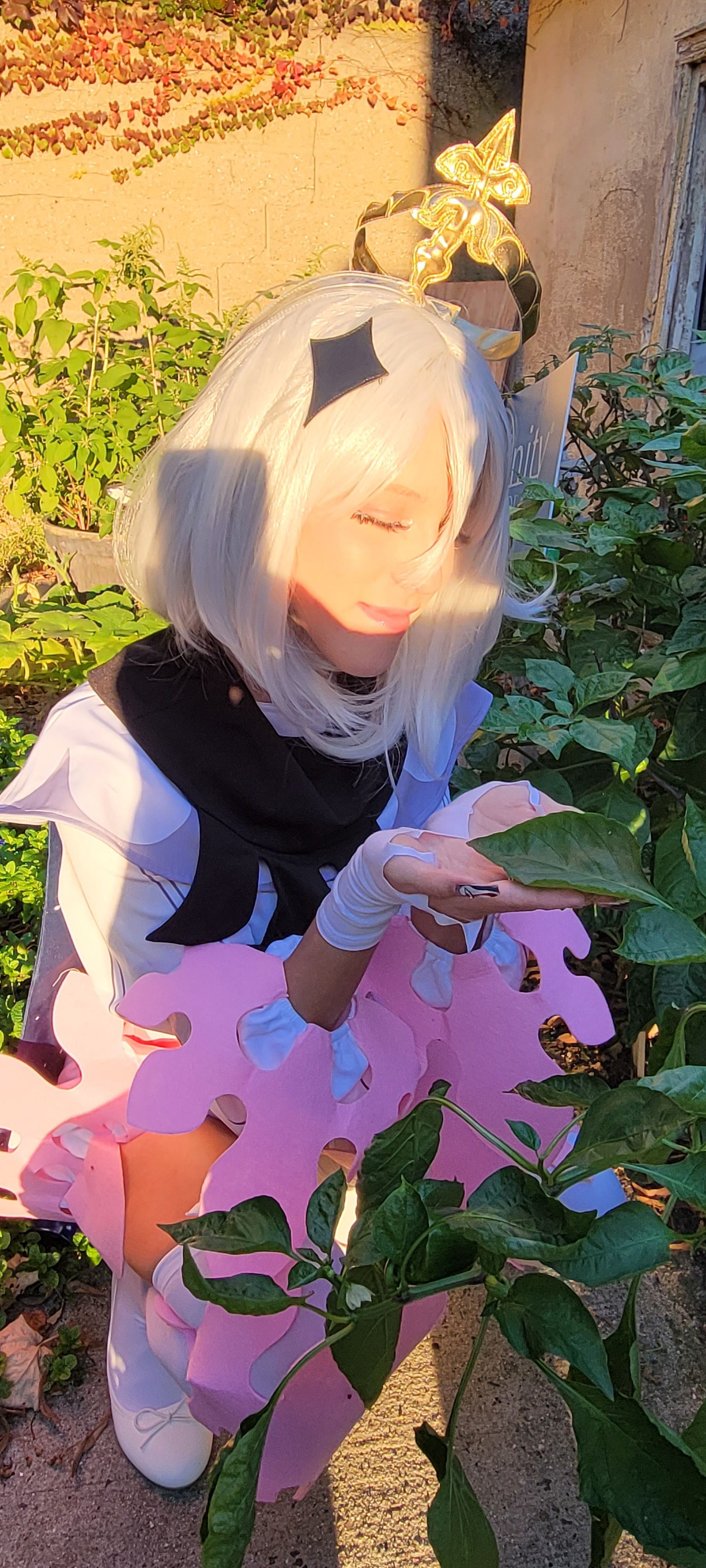 Paimon Cosplay with Minecraft Pet Bee Genshin Impact | HoYoLAB