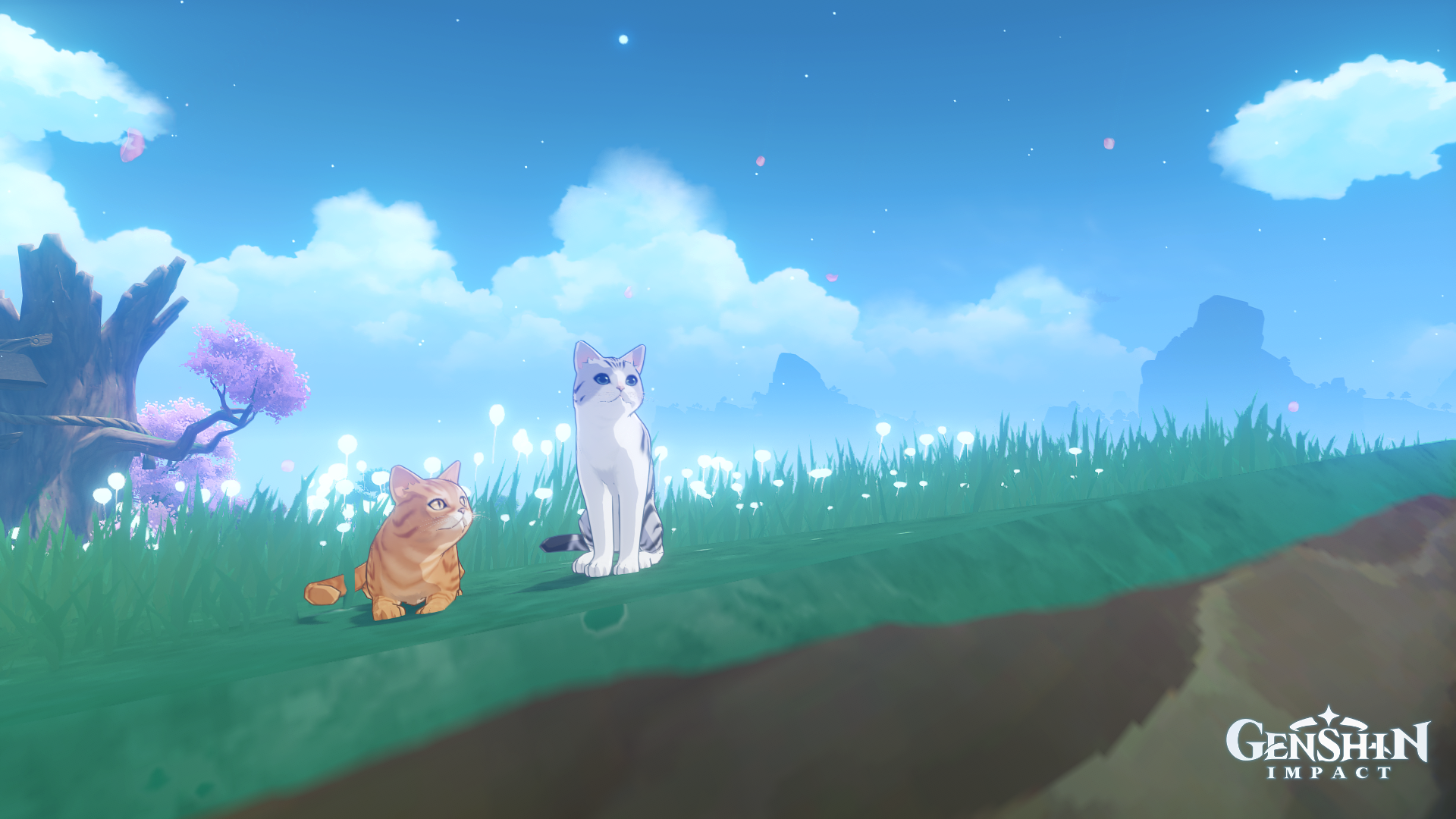 Meow meow Genshin Impact | HoYoLAB