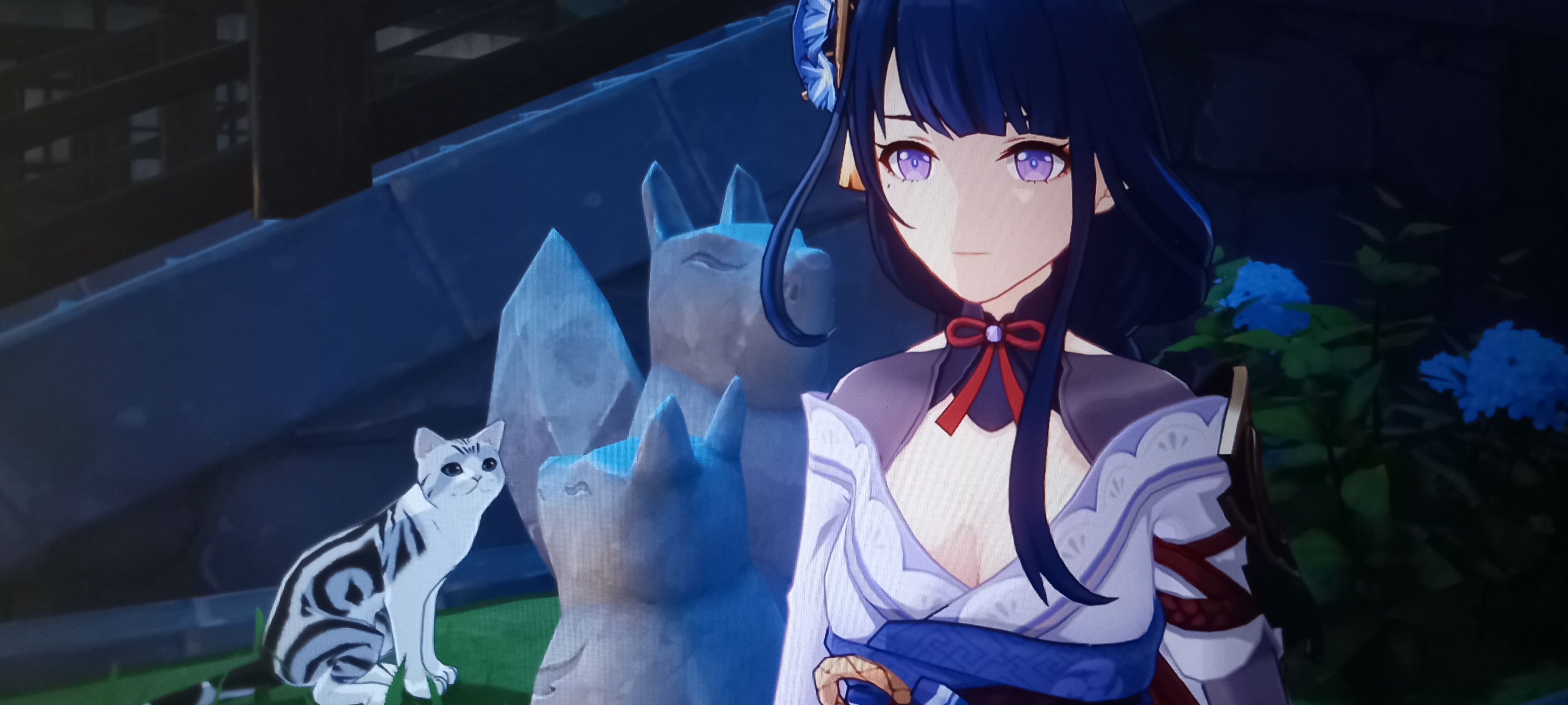 inazuman cat Genshin Impact | HoYoLAB