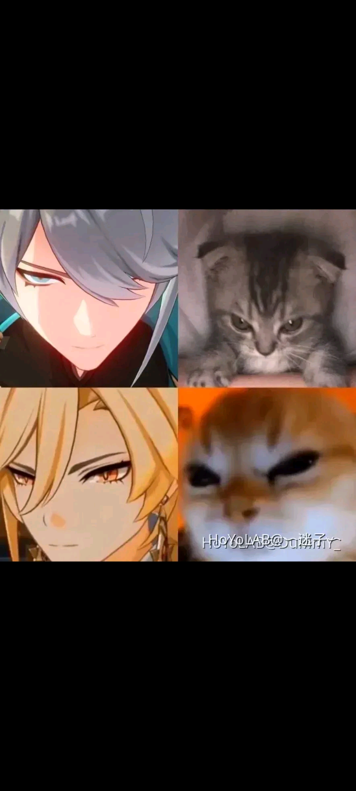 genshin memes part 3 Genshin Impact | HoYoLAB