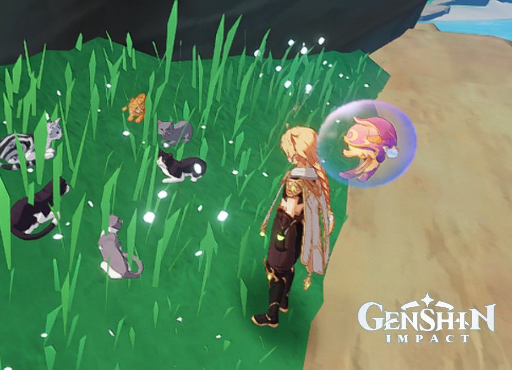 reunión de gatos en Inazuma 🫶🏼 Genshin Impact | HoYoLAB