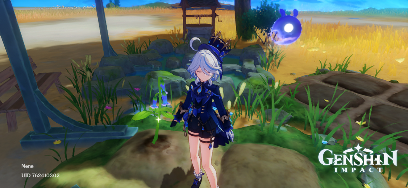 Violet Grass on Grass Genshin Impact | HoYoLAB