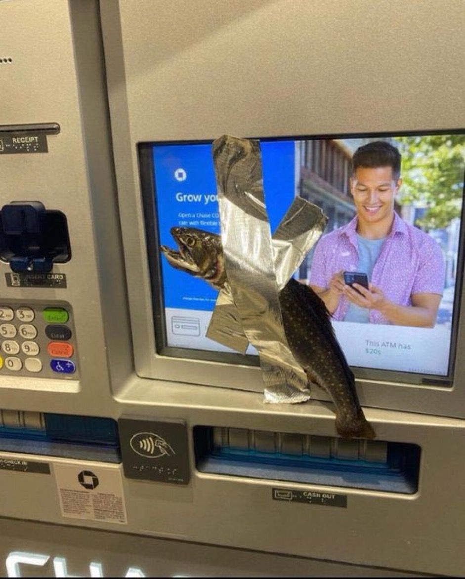 Guys why is there a fish here I need money | HoYoLAB