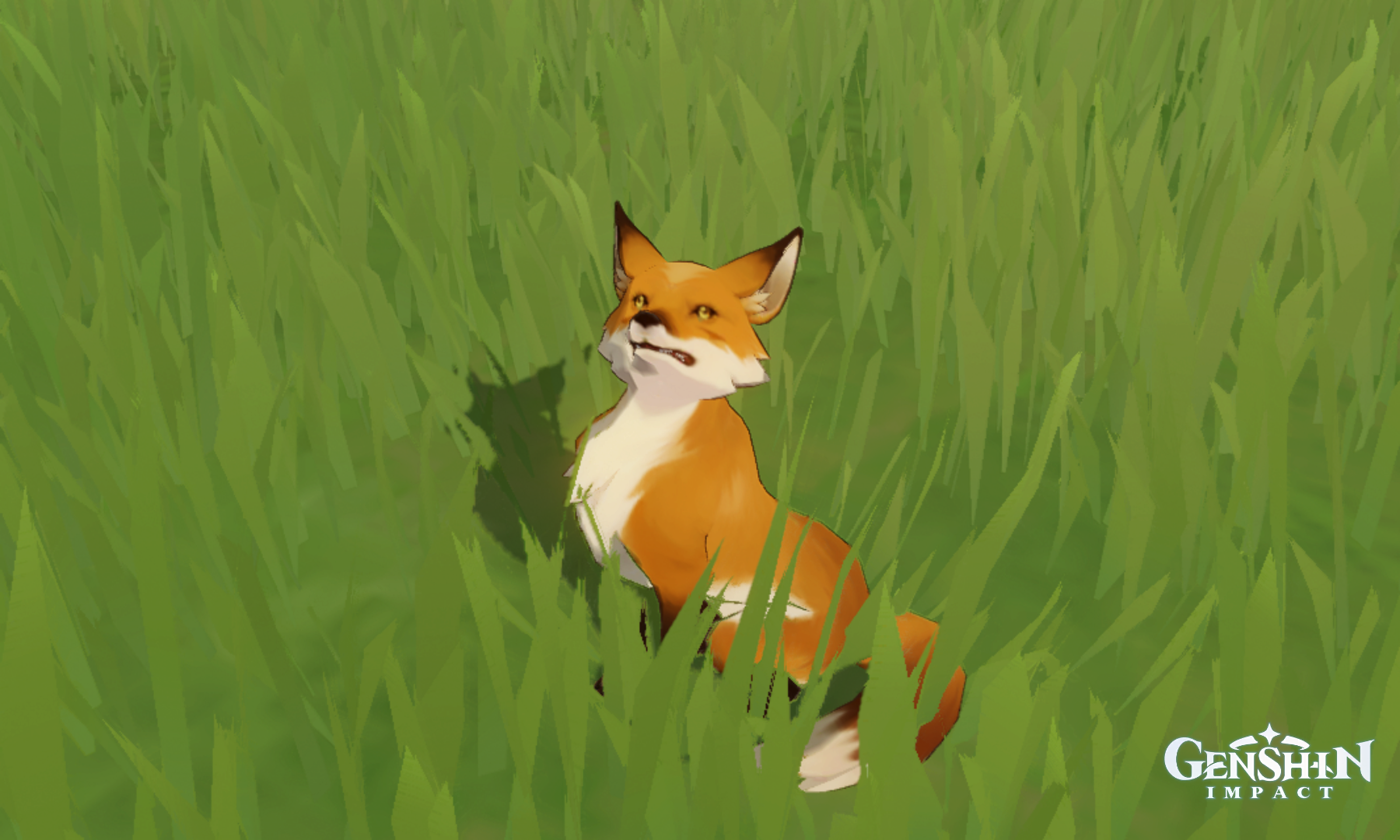Animals Genshin Impact | HoYoLAB