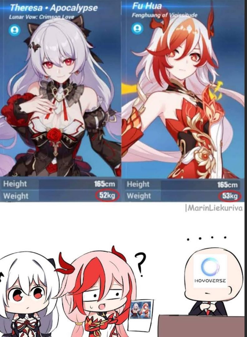 HI3rd meme Honkai Impact 3rd | HoYoLAB