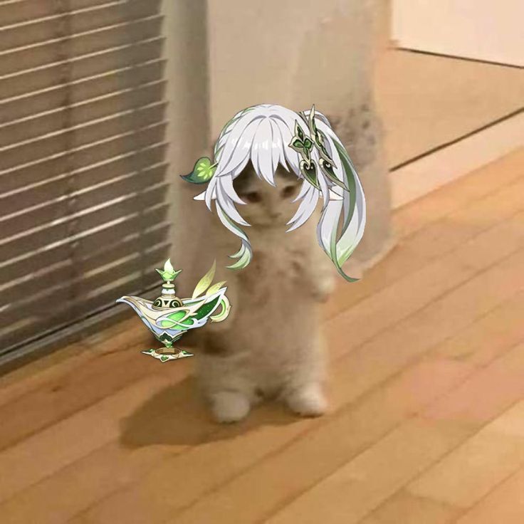 Nahida cat (topic 6: fav picture) Genshin Impact | HoYoLAB