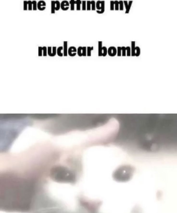 nuclear cat :) | HoYoLAB