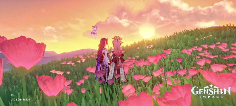 flower field Genshin Impact | HoYoLAB