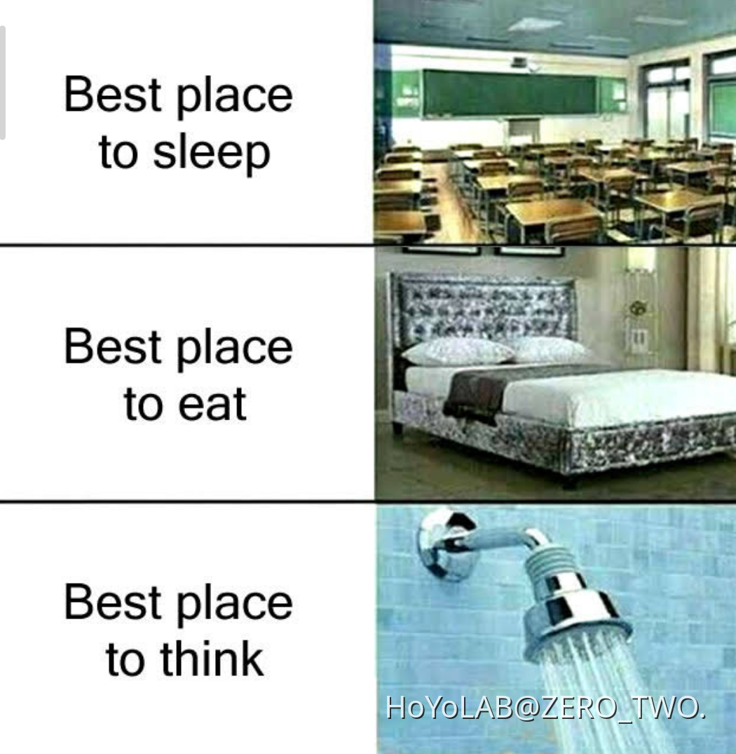 meme 💯💯 | HoYoLAB