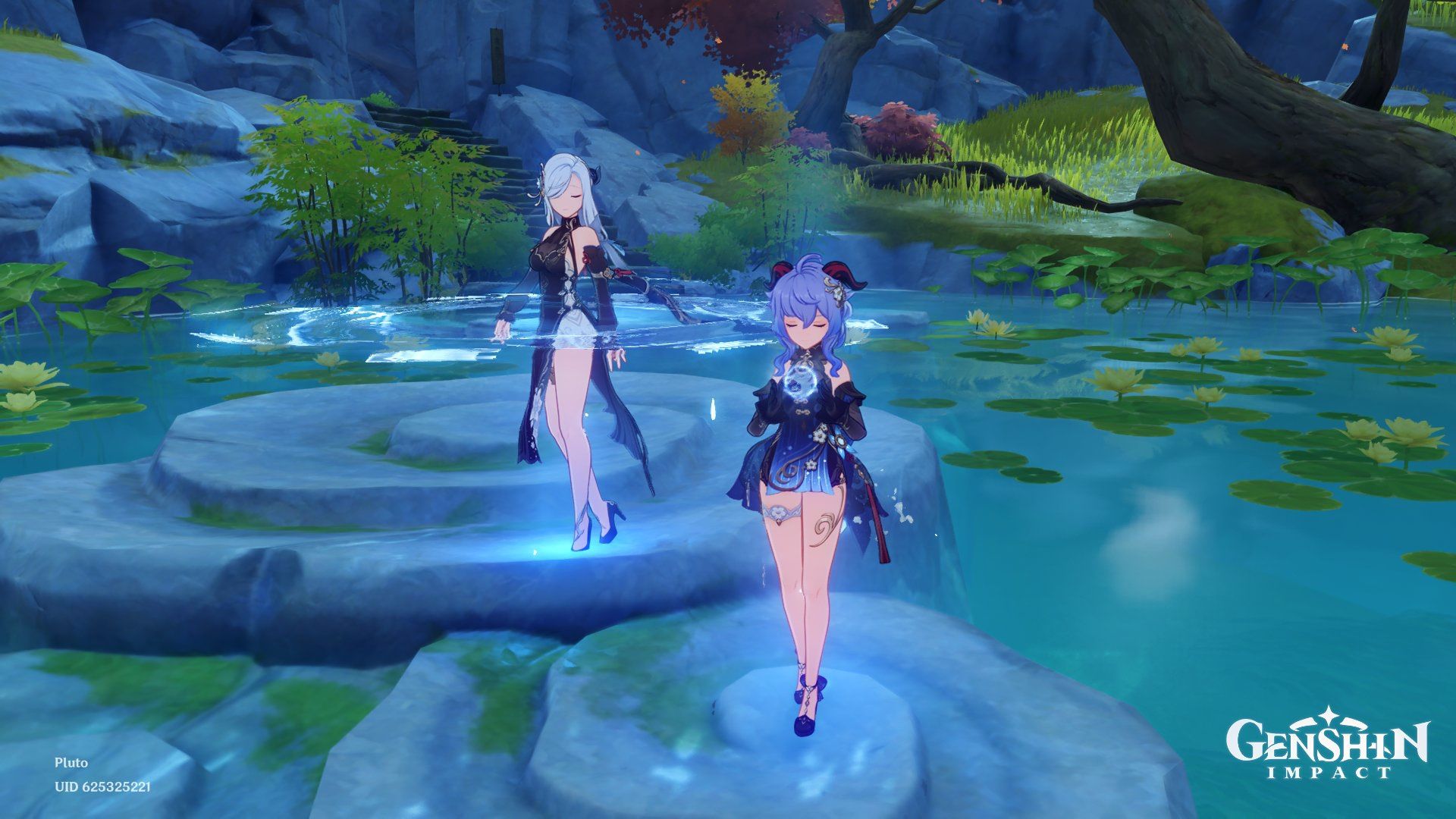 Shenhe and Ganyu Skin Genshin Impact | HoYoLAB