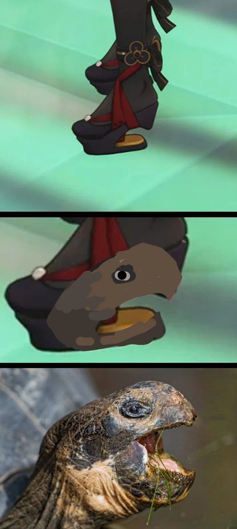 turtle. Genshin Impact | HoYoLAB