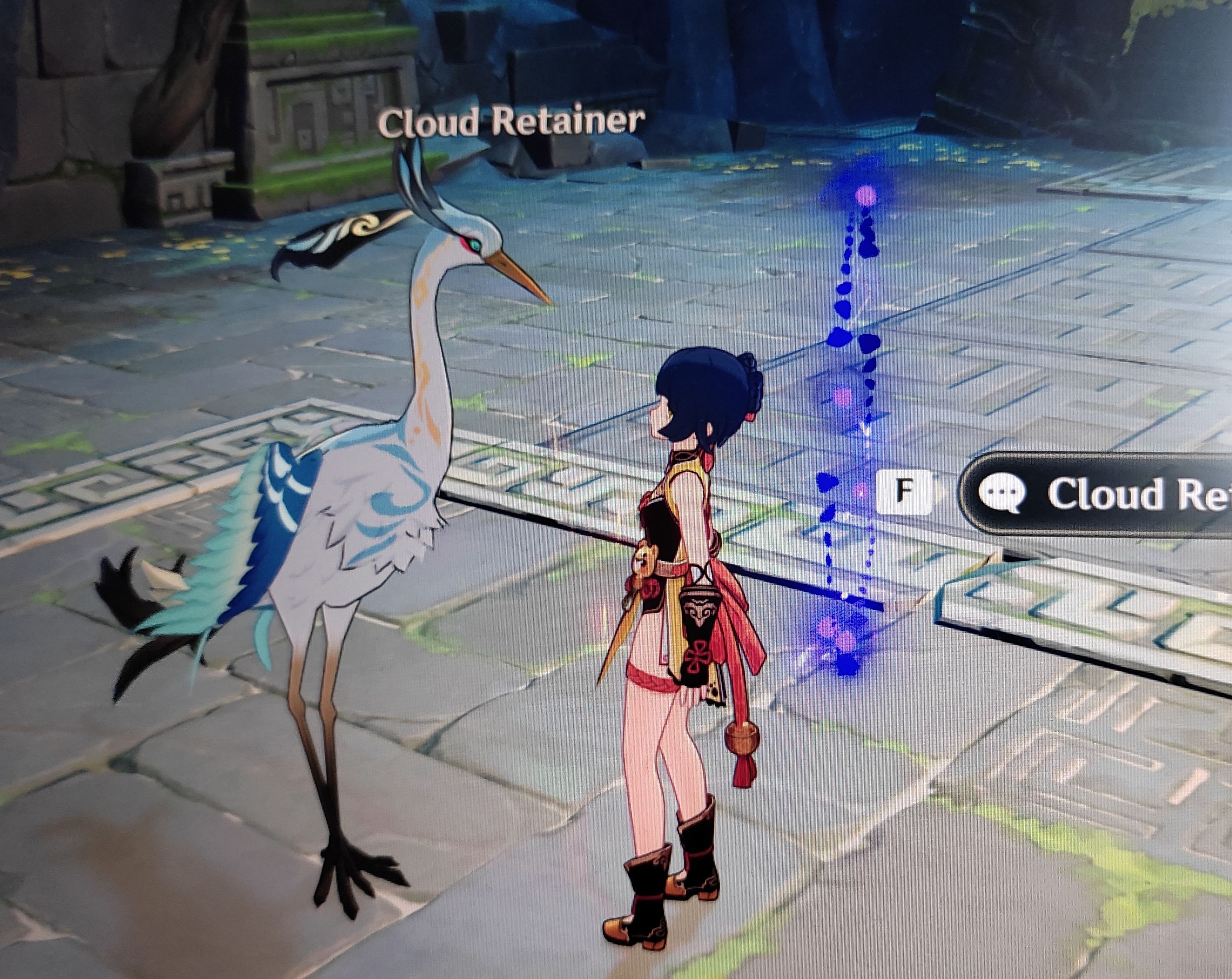 Look guys! i got Xianyun! She looks like a bird tho Genshin Impact ...