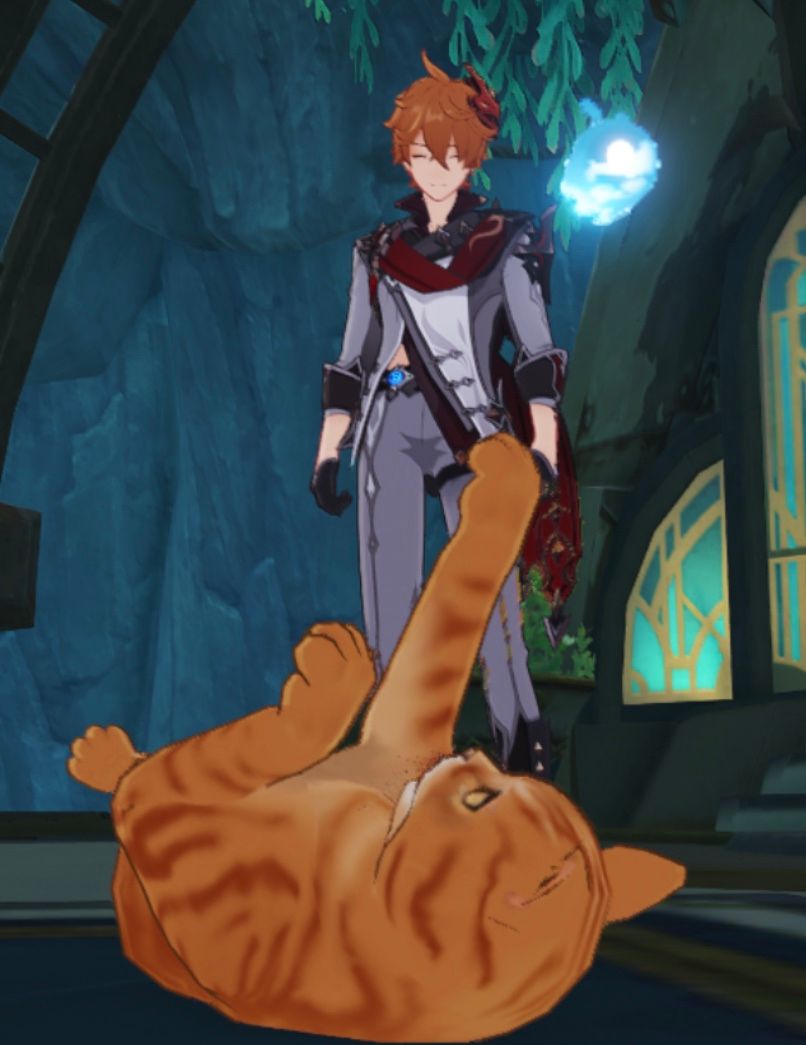 THE GINGER KITTY Genshin Impact | HoYoLAB