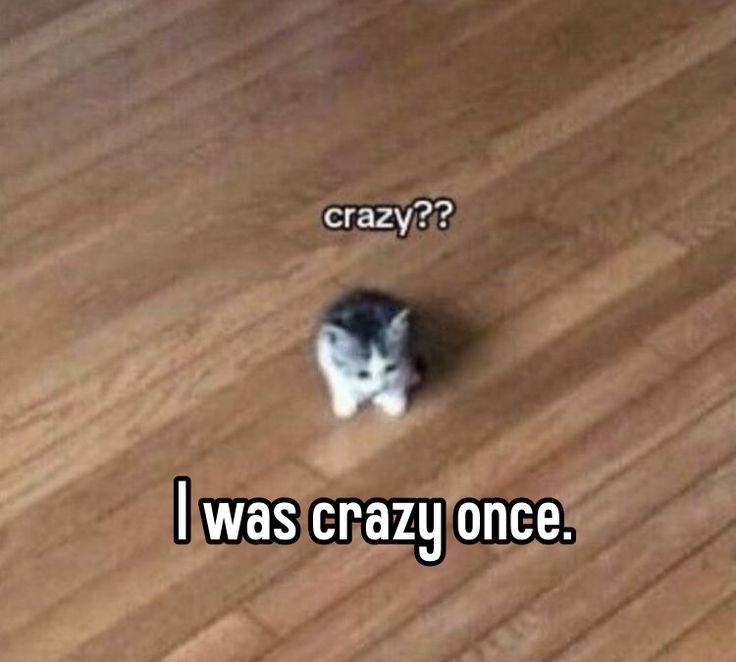 I was crazy once now i eatt ratss a lot of rats | HoYoLAB