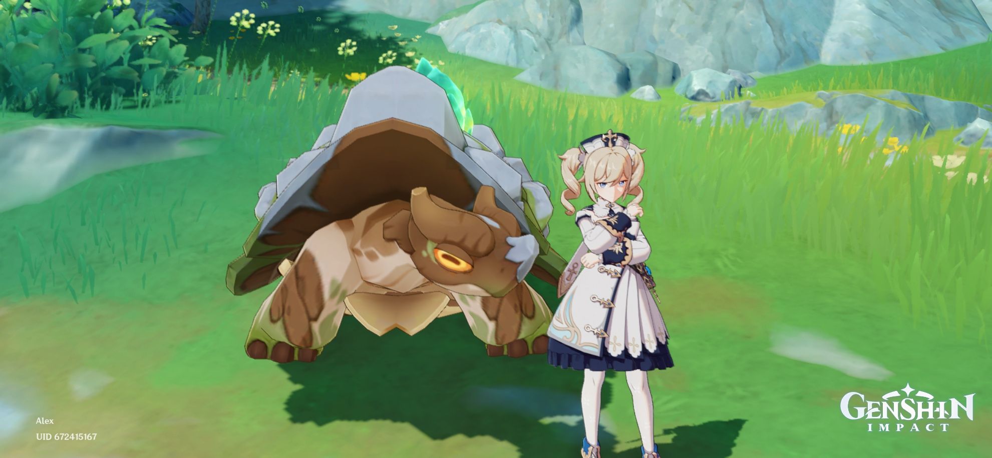 Cute animal Genshin Impact | HoYoLAB