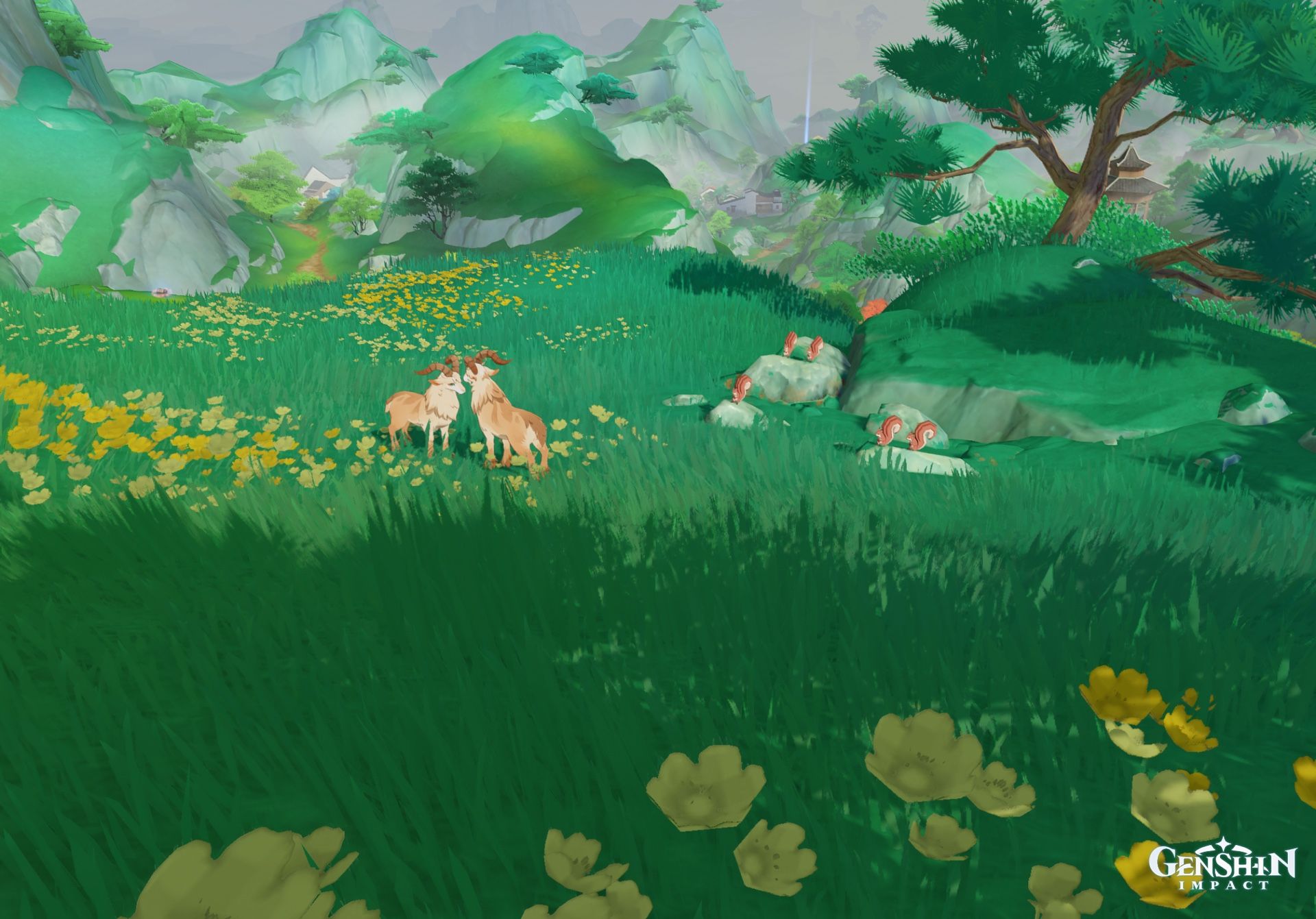 Looks like a goat wedding Genshin Impact | HoYoLAB