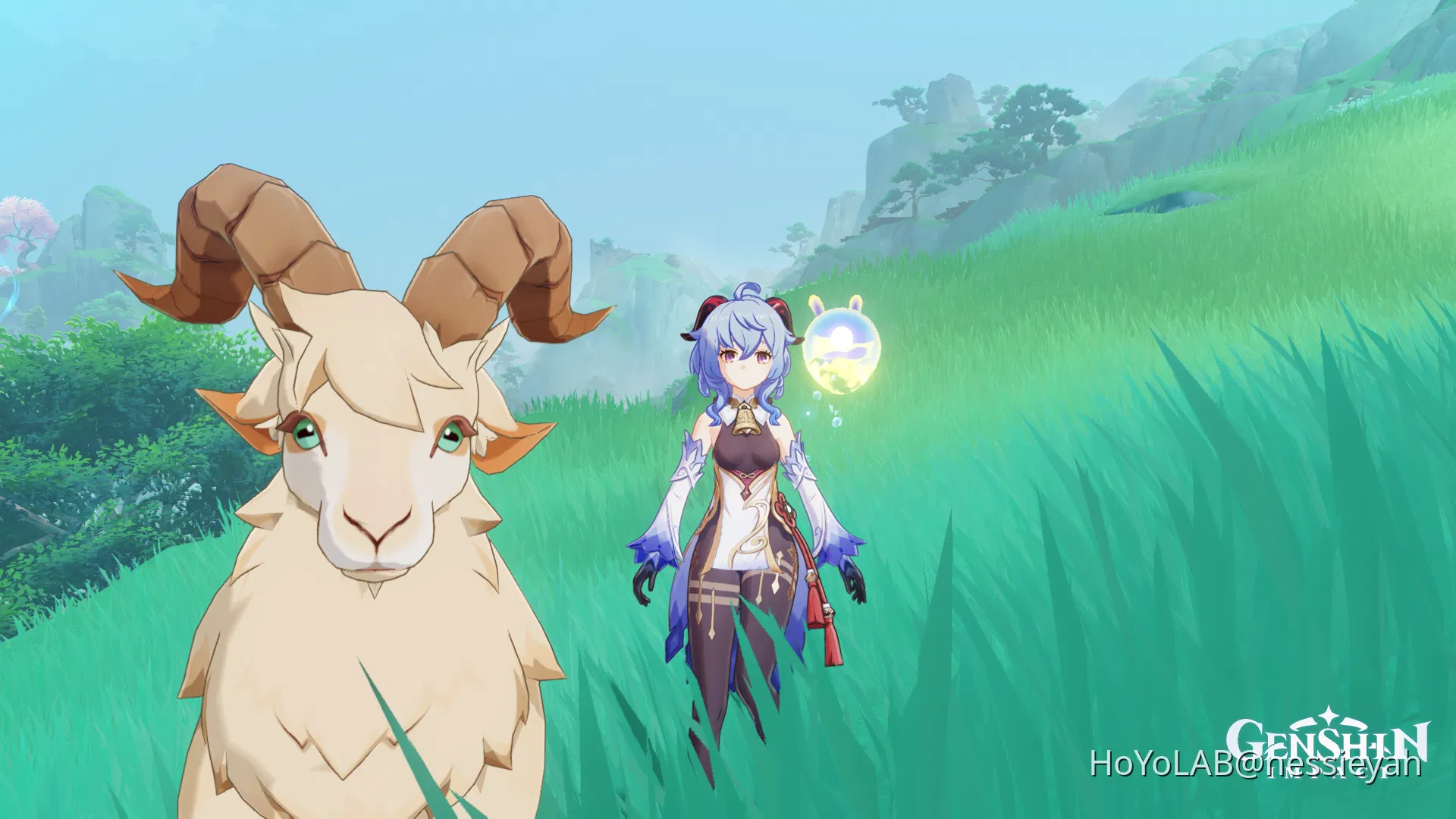 These fluffy goats are super floof
