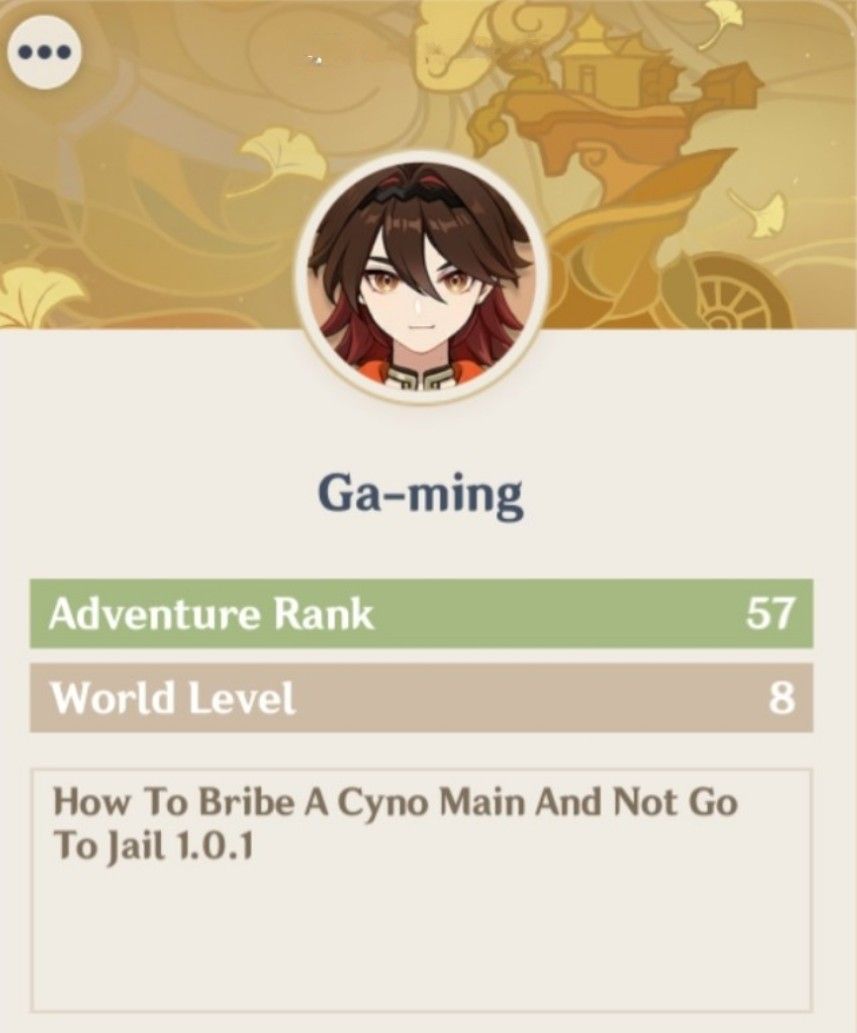 😂 gaming bio reminded me of this Genshin Impact | HoYoLAB