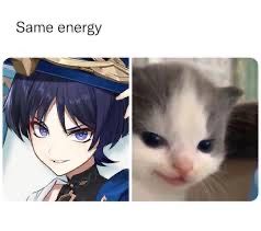 Same energy compilation Genshin Impact | HoYoLAB