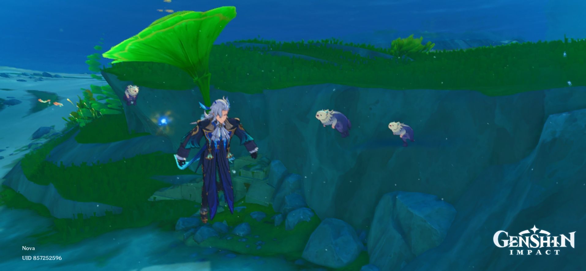 Mini Neuvillette army :D Genshin Impact | HoYoLAB