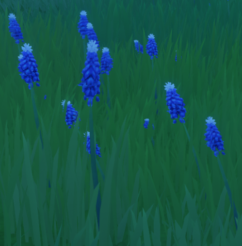 Bi-weekly Botany! Master Tighnari's Disciple Post Week 8: Grape ...