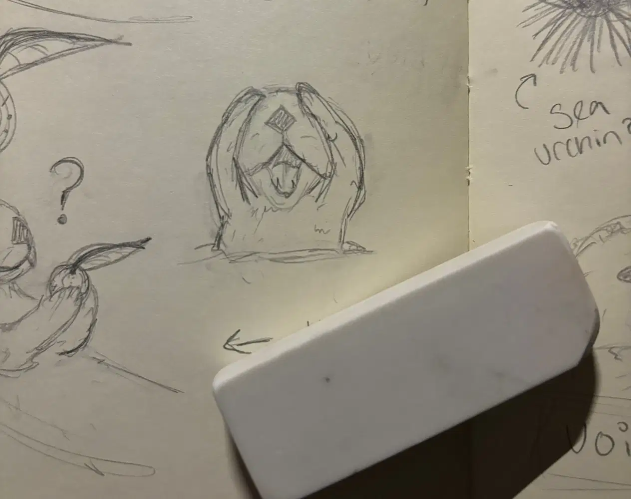 how to draw otter nose