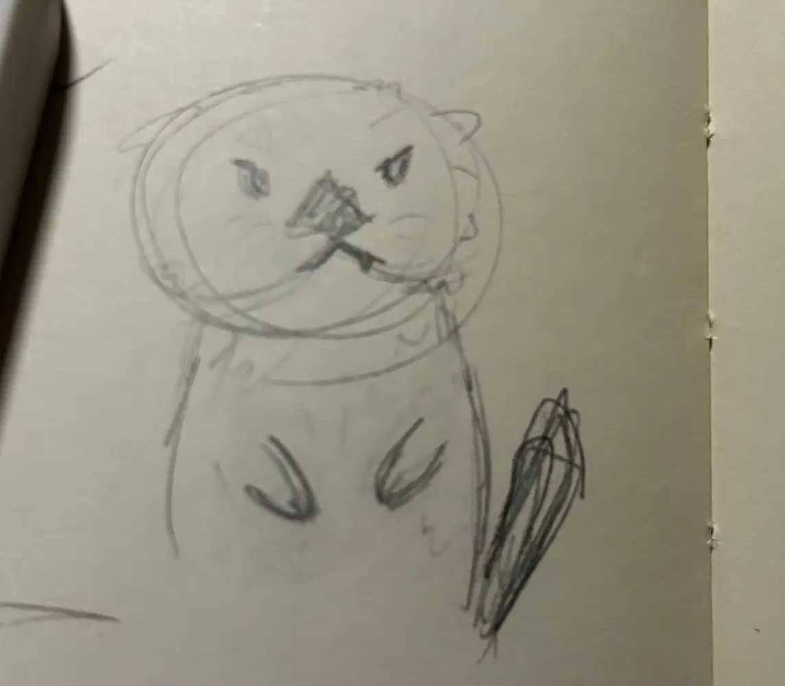 how to draw otter nose