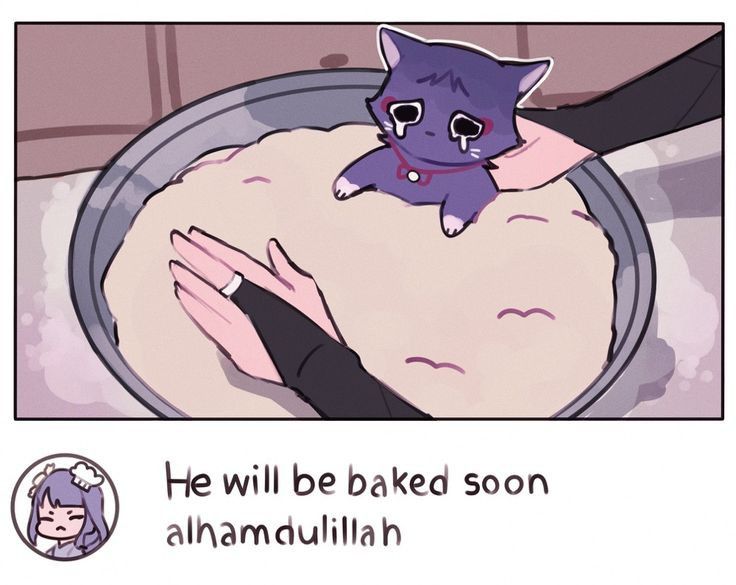 random memes i found 🐢 Genshin Impact | HoYoLAB