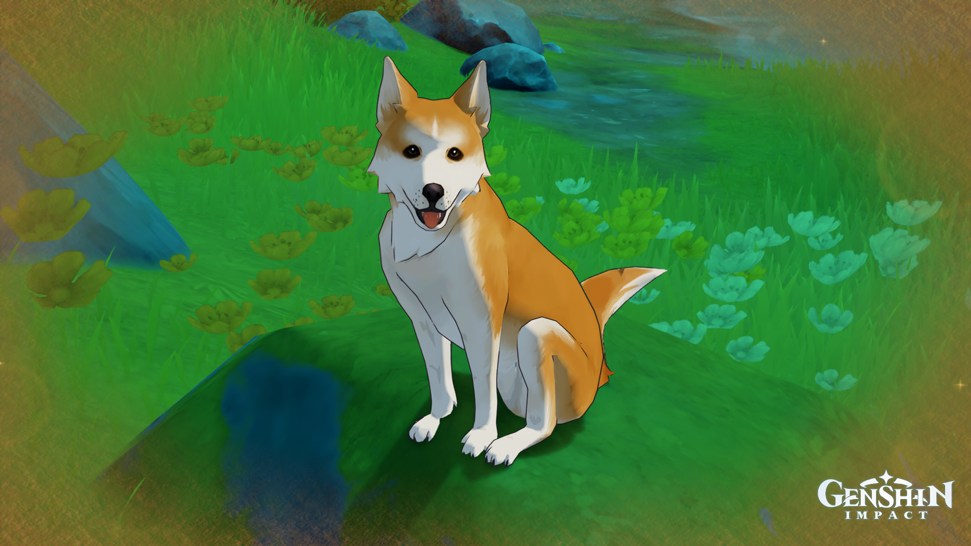 DOG!!!! Genshin Impact | HoYoLAB