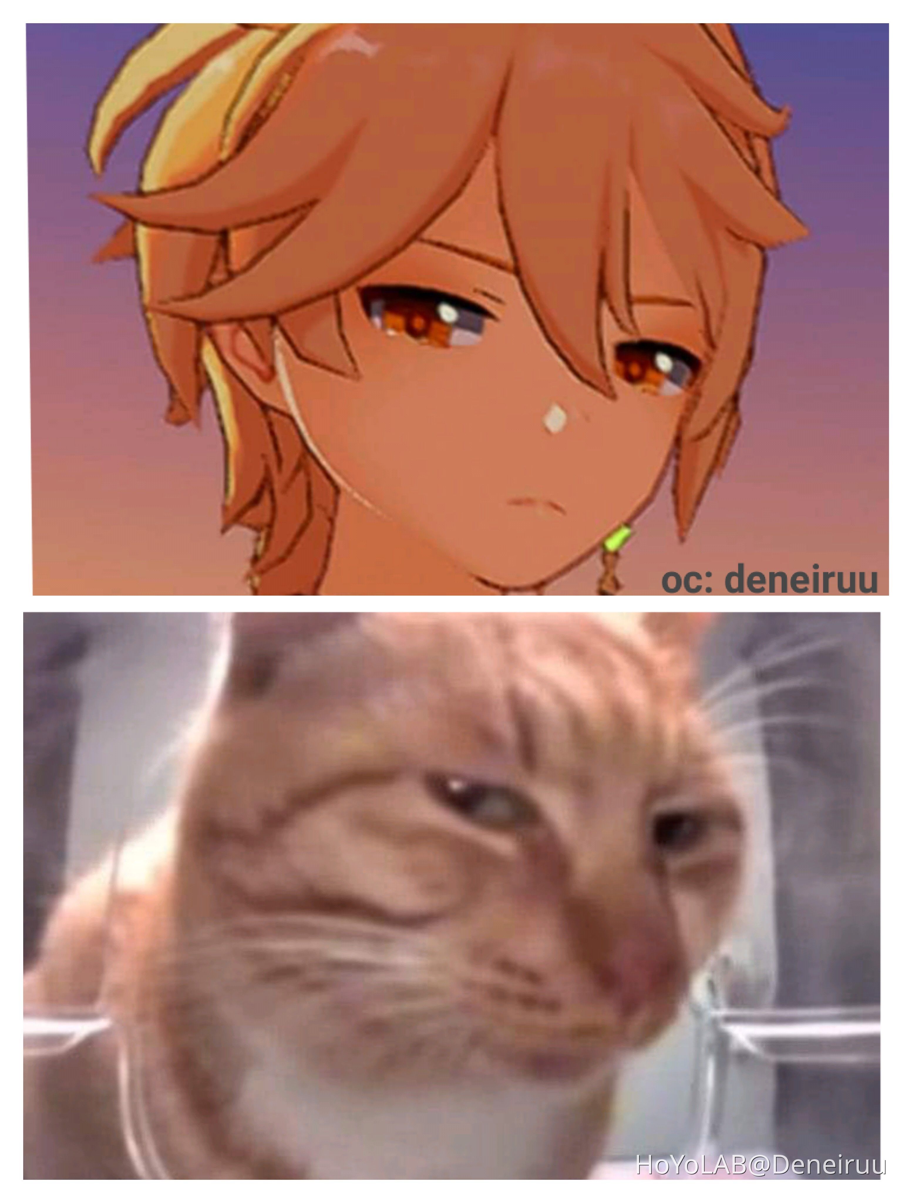 aether after so many hallucinations with twin sibling Genshin Impact ...