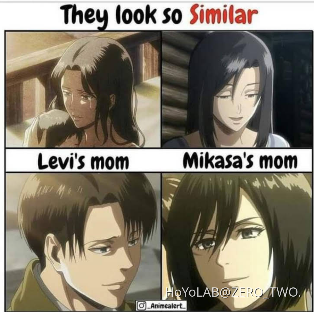 Aot meme | HoYoLAB