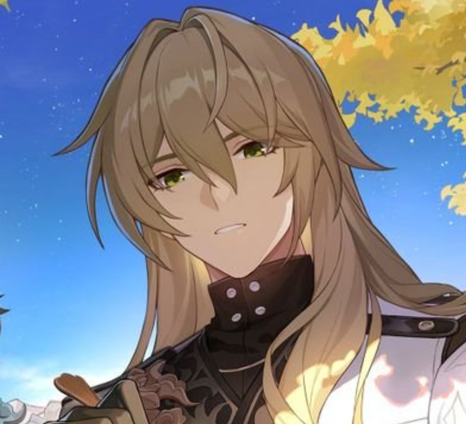 men with long hair = my type (hrs ver) Honkai: Star Rail | HoYoLAB