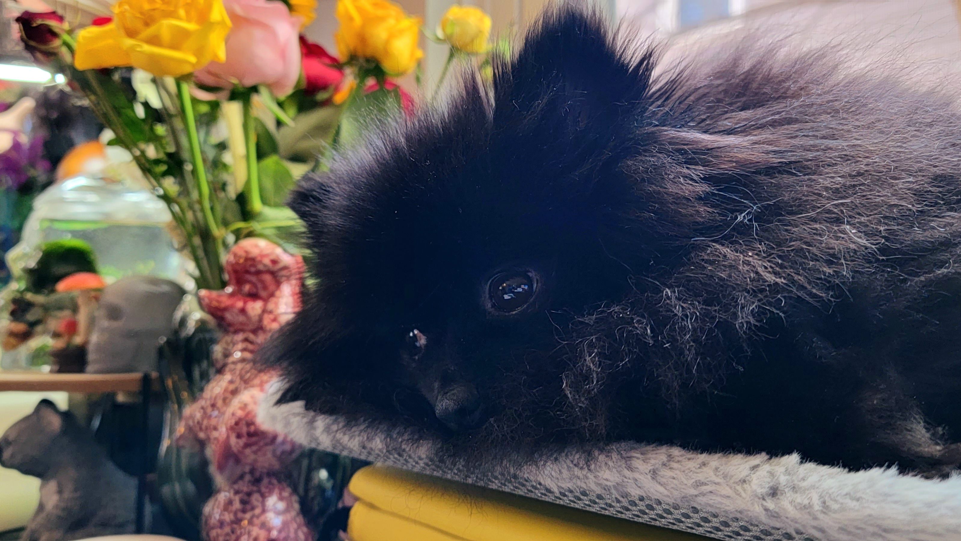 a reply to whomever sent the "post 3rd pic from your camera roll ...