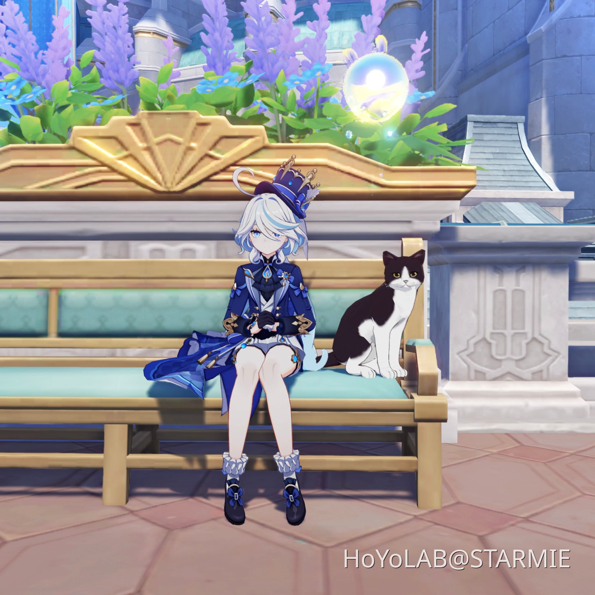 Furina Cat Moment Genshin Impact | HoYoLAB