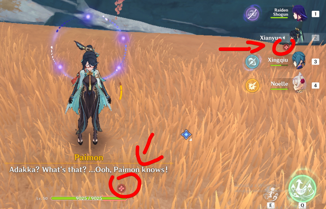 What is this effect? Genshin Impact | HoYoLAB