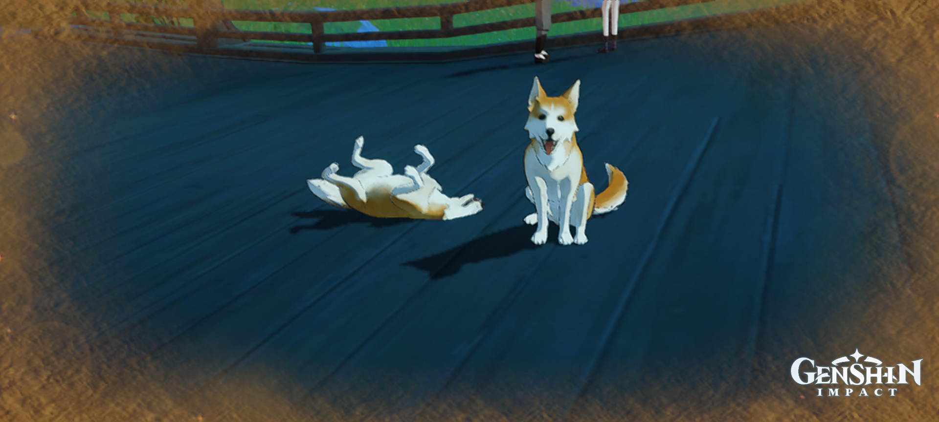 Just Cute Dogs Genshin Impact | HoYoLAB