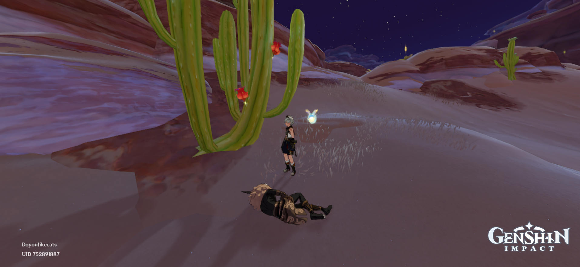 At the desert Genshin Impact | HoYoLAB