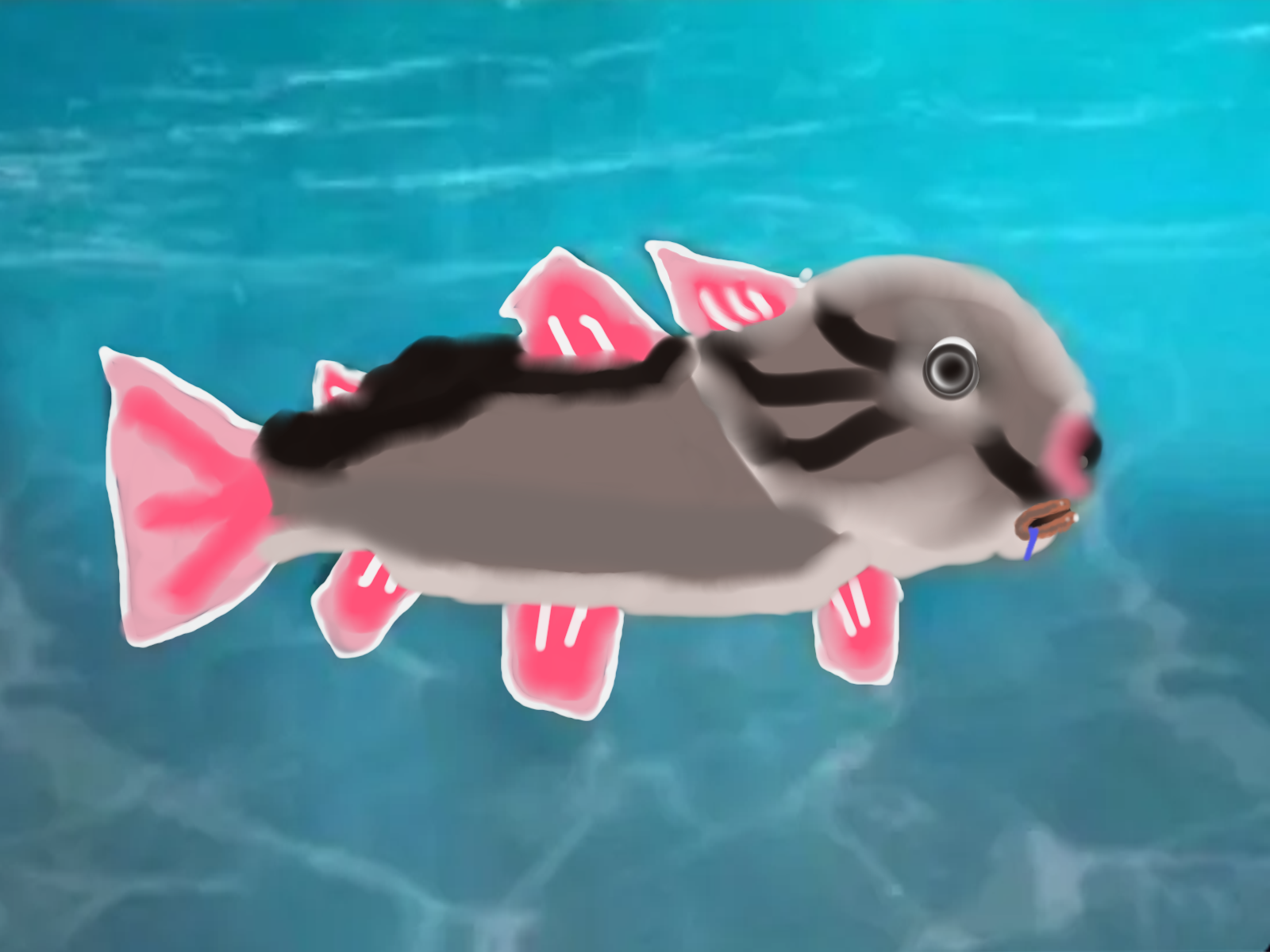 Fish cat go brr | HoYoLAB