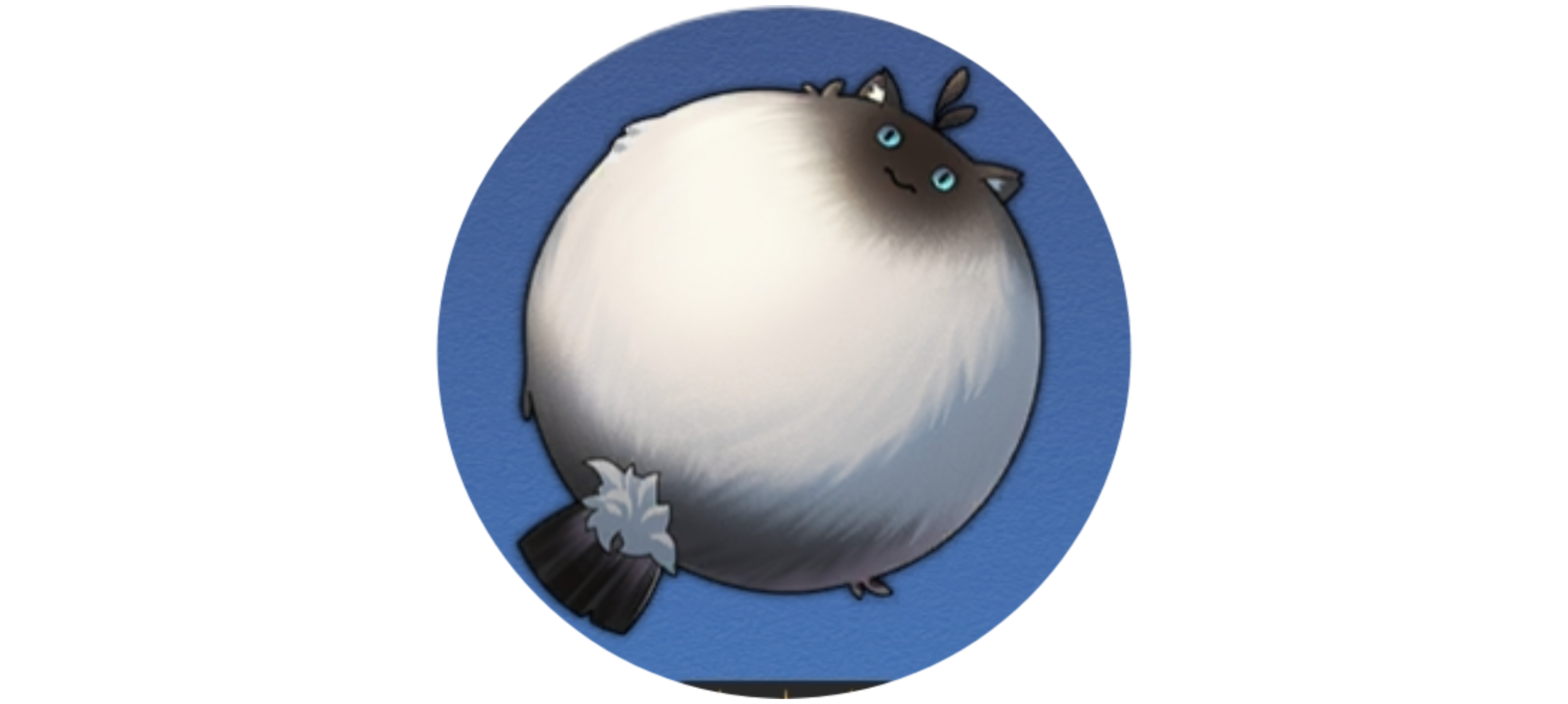 Huh Cat HSR Honkai: Star Rail | HoYoLAB