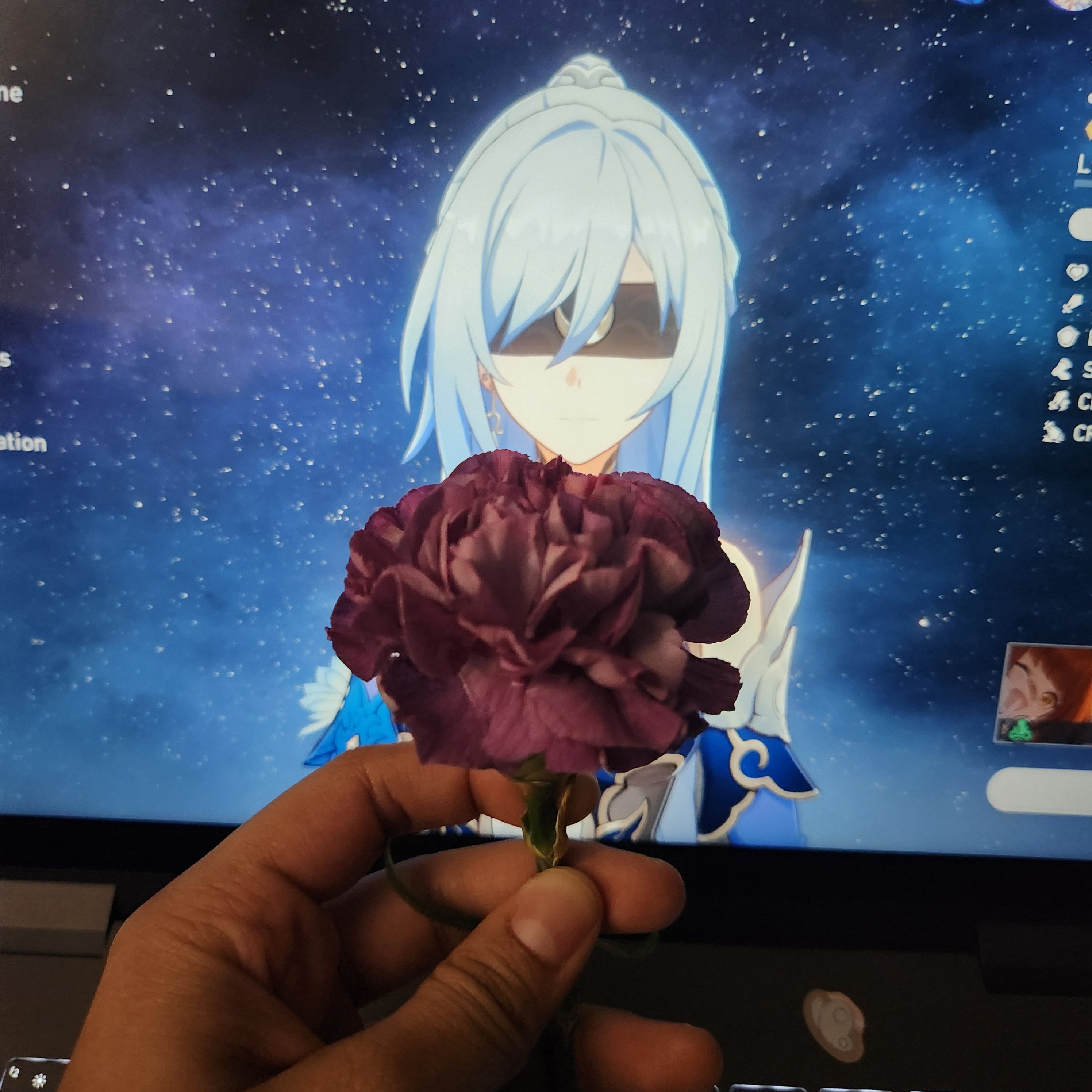 flower to my fictional character on valentines | HoYoLAB