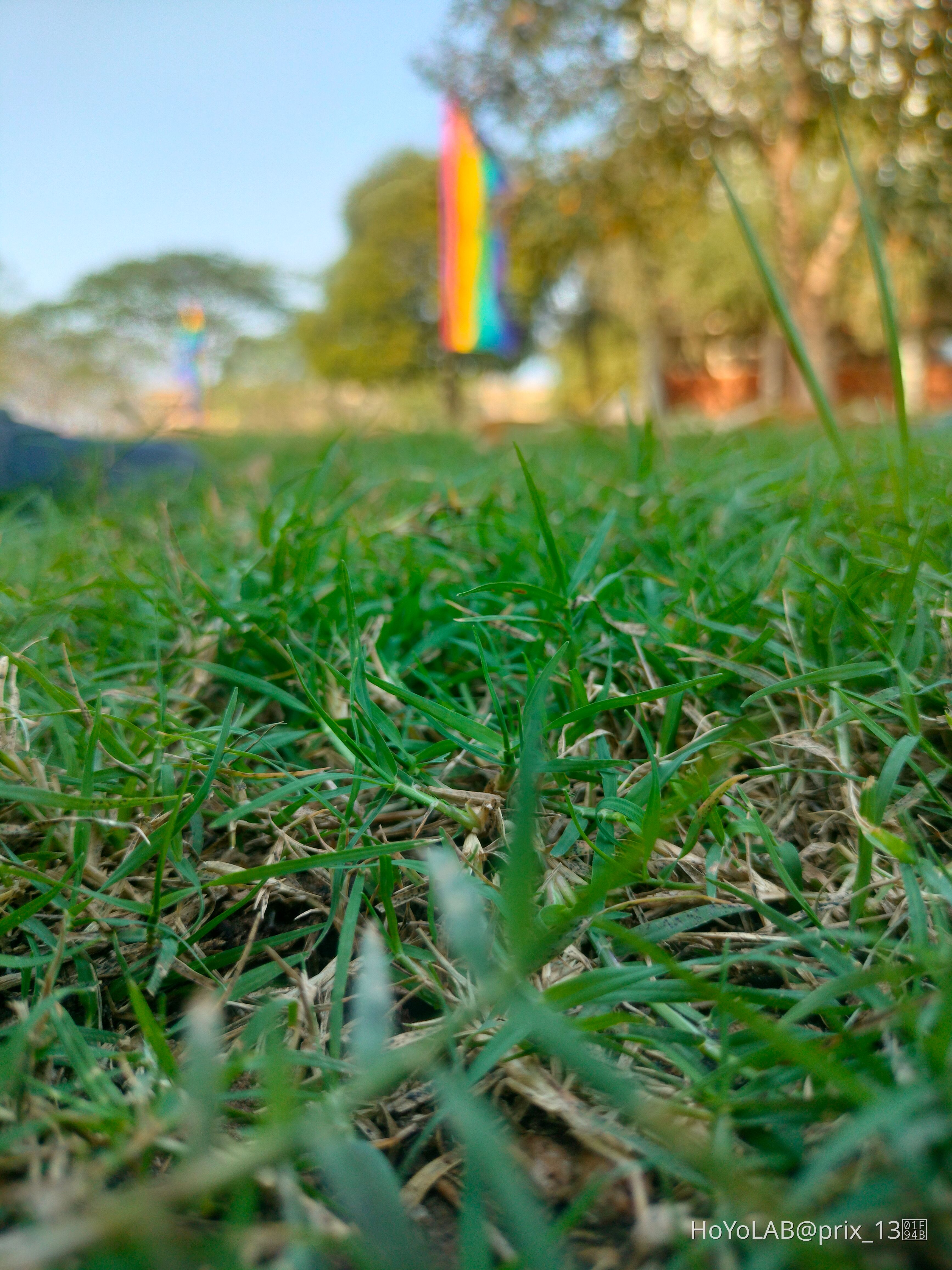 have some "real" grass guys 😉 Genshin Impact | HoYoLAB