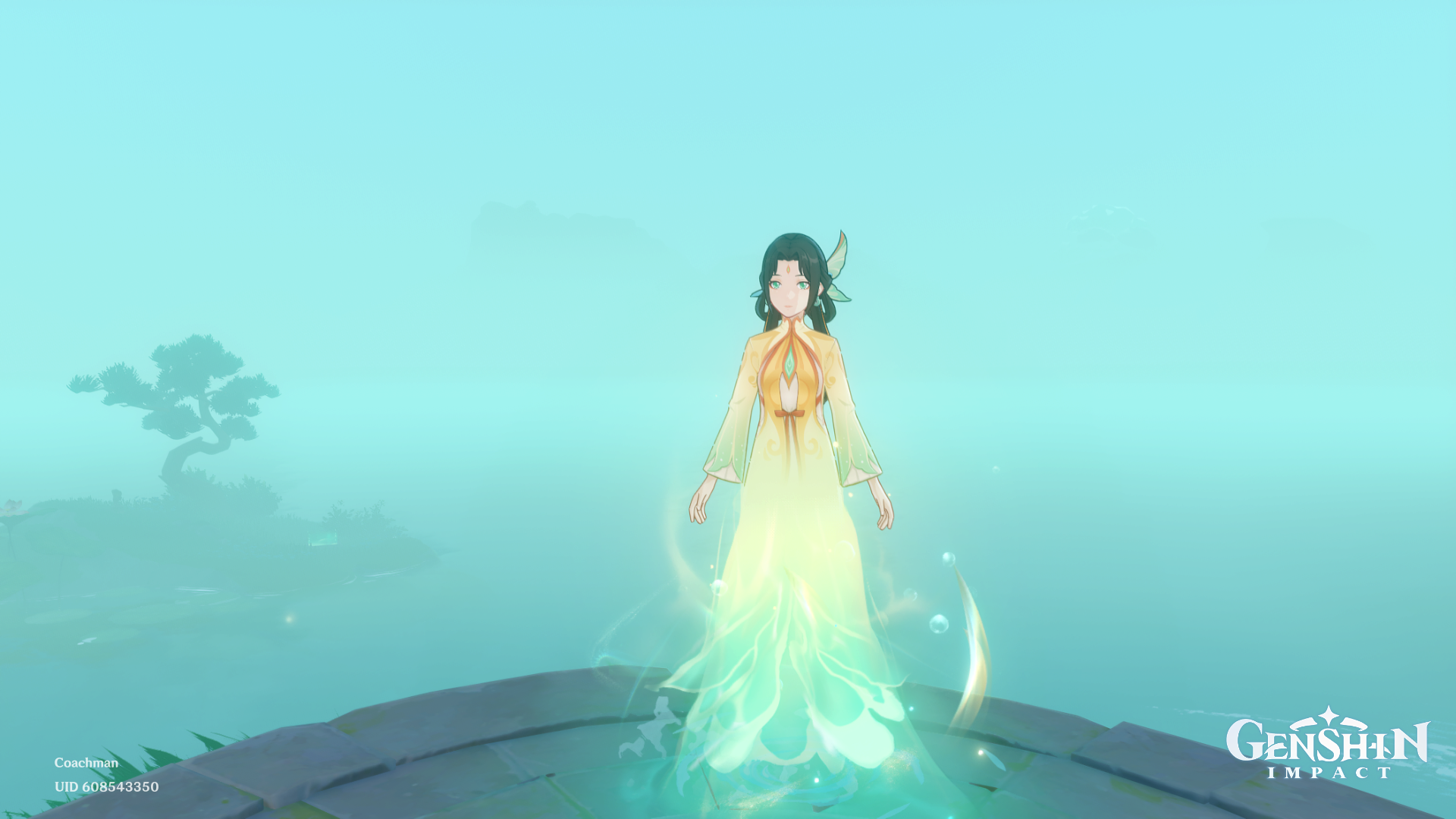 Best NPC Genshin Impact | HoYoLAB