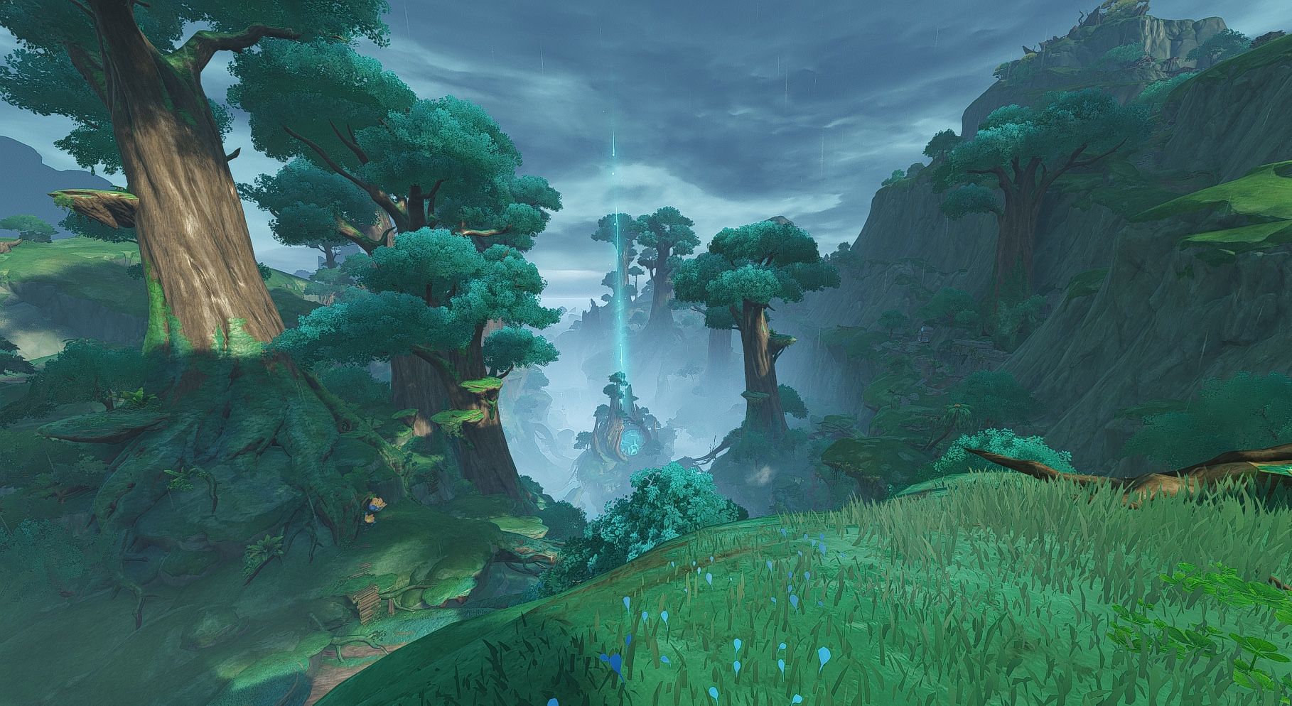 Avidya Forest | Chest Experience Genshin Impact | HoYoLAB