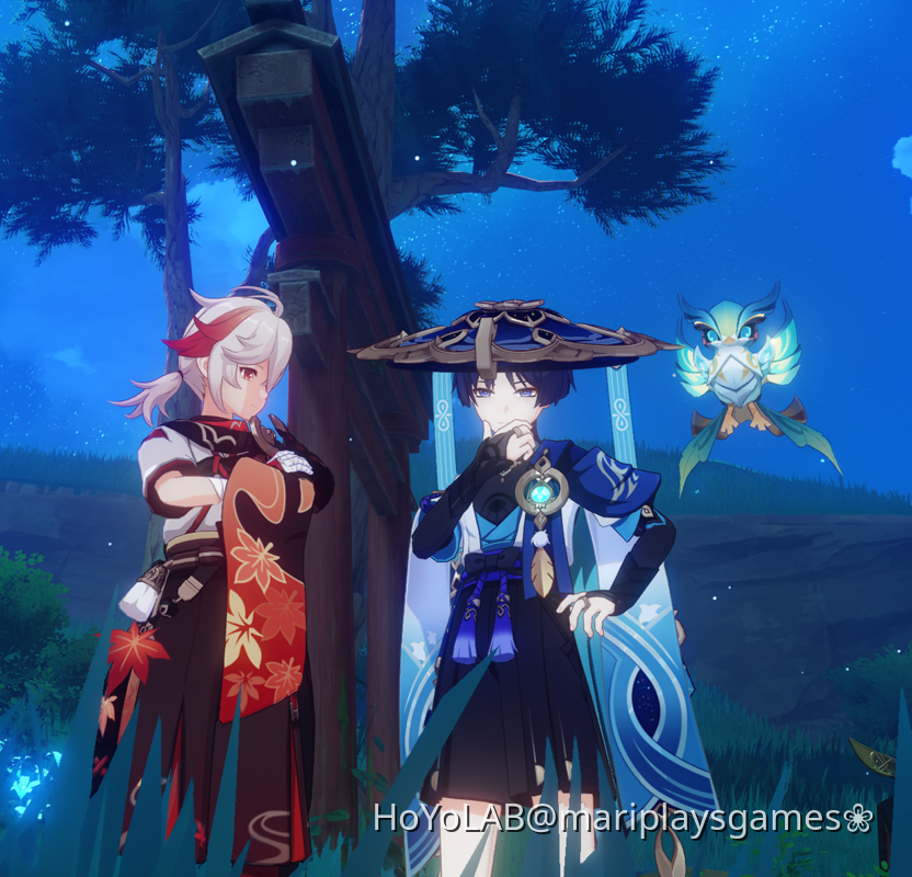 Co-Op Mode Moments Genshin Impact | HoYoLAB