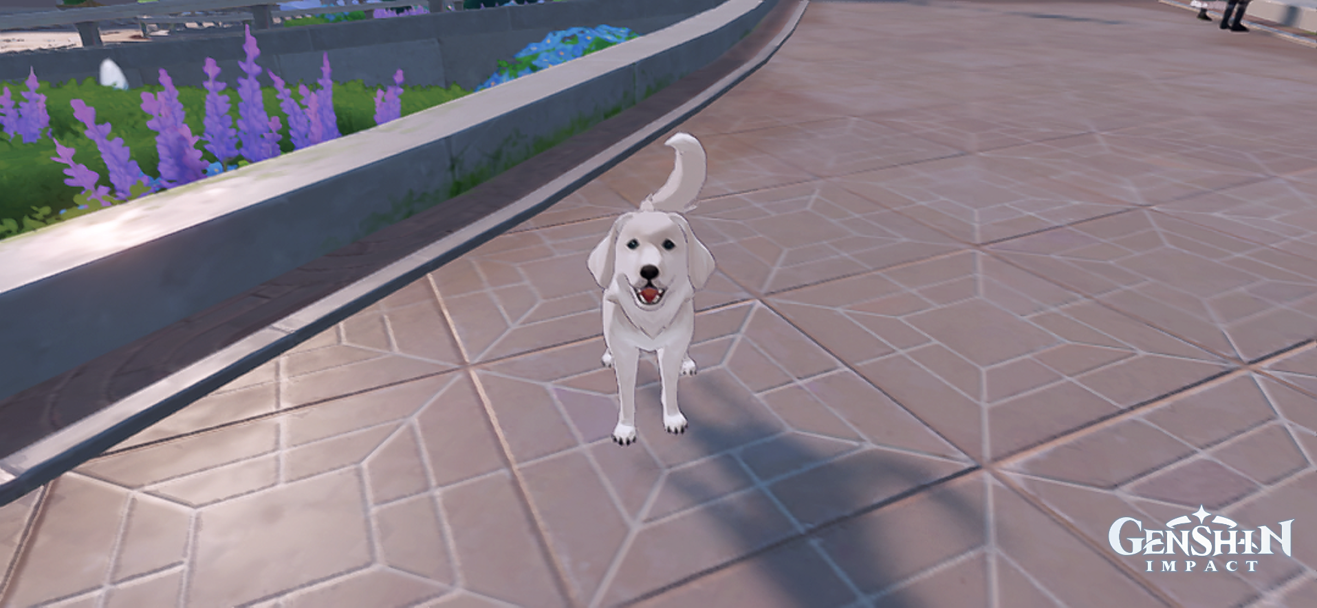 pet dog when genshin? Genshin Impact | HoYoLAB