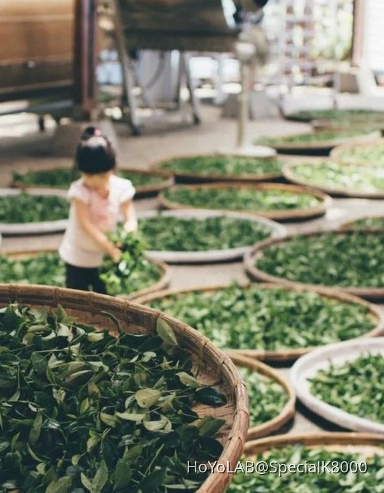 ”Buy ten and get half price!” Tea Lovers, would you do it? Genshin ...