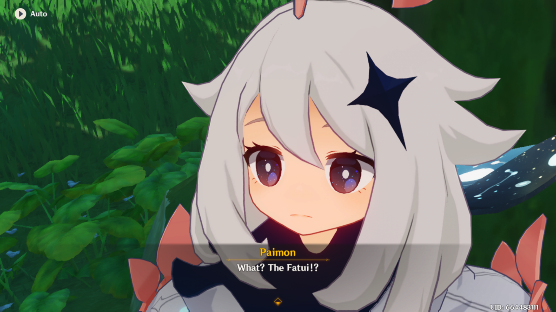 Paimon, You Should Really Have Guessed By This Point Genshin Impact ...